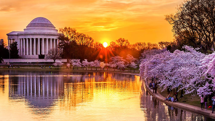 Four things to do in Washington DC | Money magazine