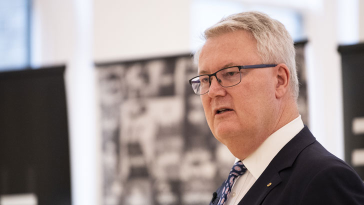 What Simon Longstaff learnt about life from dolphin spotting | Money ...