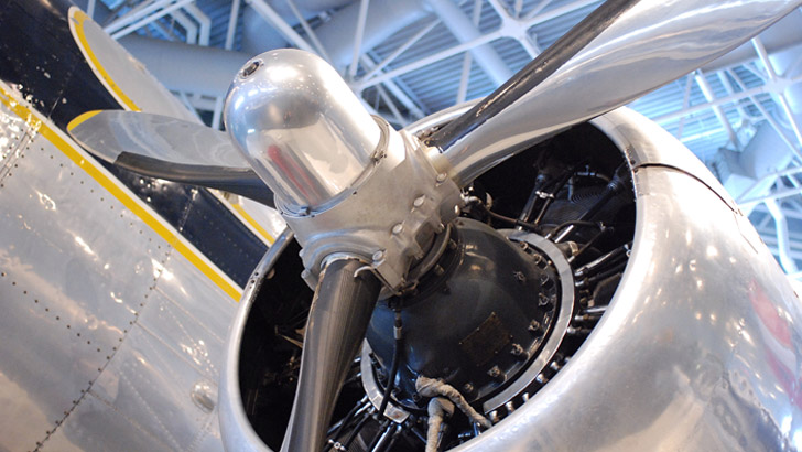 The surprising aviation success story: How PTB soared during lockdown ...