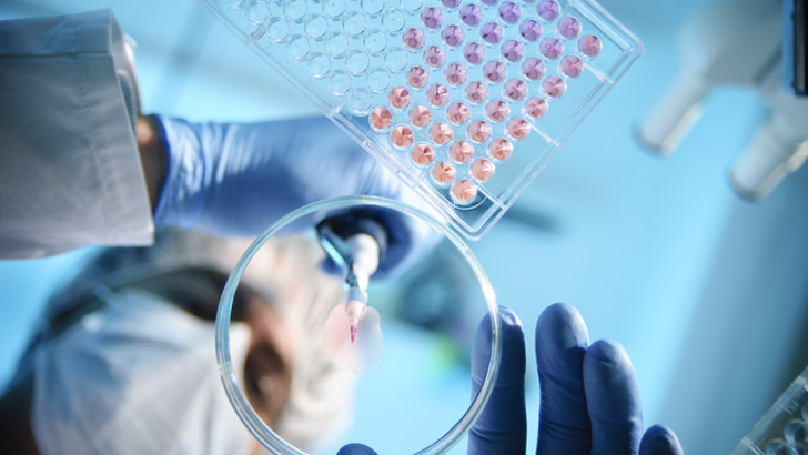 ASX-listed biotech Neuren awaiting lucrative FDA approval | Money magazine