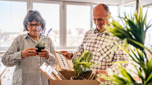 How to make the most of the downsizer super contribution | Money magazine