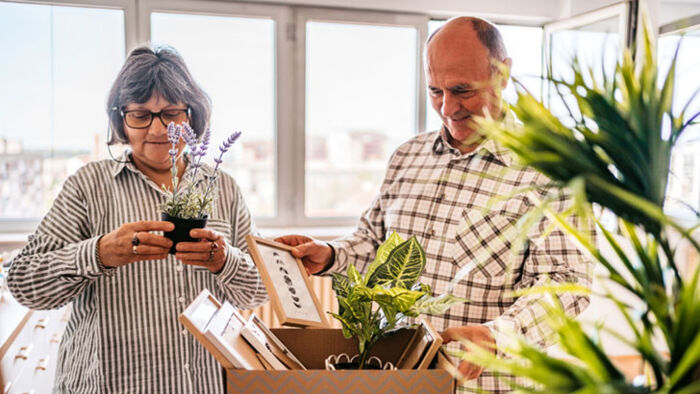 How to make the most of the downsizer super contribution | Money magazine